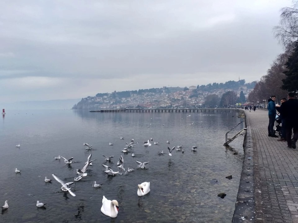 Исправи се Делфина! • WebOhrid