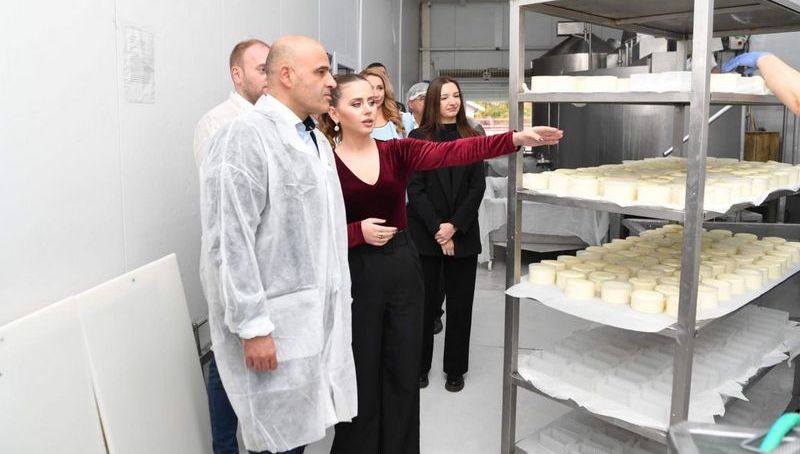 Ковачевски: Поевтината струја за компаниите од 80 евра по мегават час, ќе ја намали цената на ...