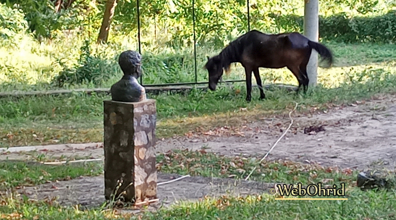 Врзан коњ на бистата од Живко Чинго во Велгошти • WebOhrid